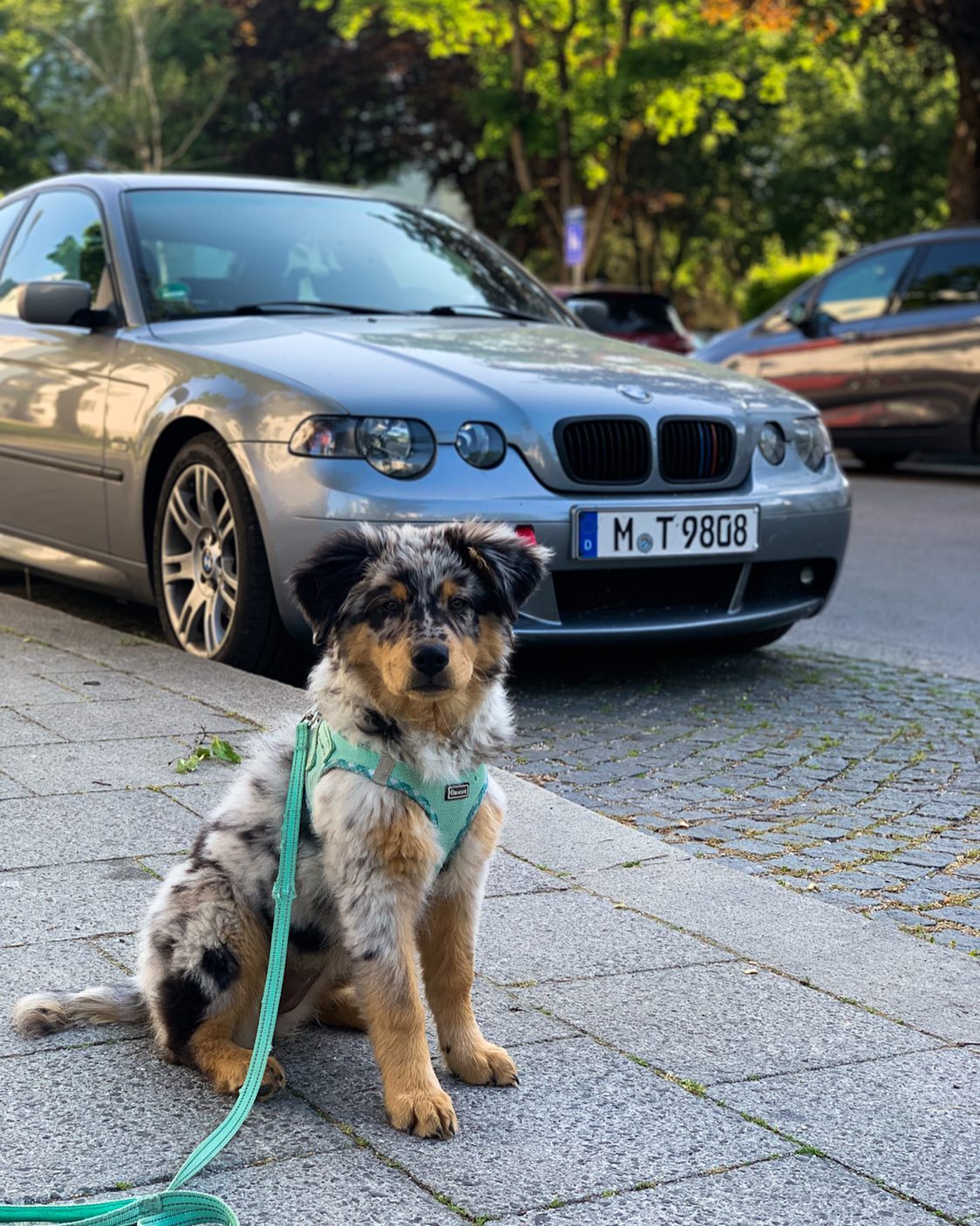 Sarah´s E46 316TI Compact - Compactnation.net